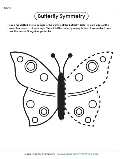 Butterfly Symmetry Printable PDF Worksheet for Kids