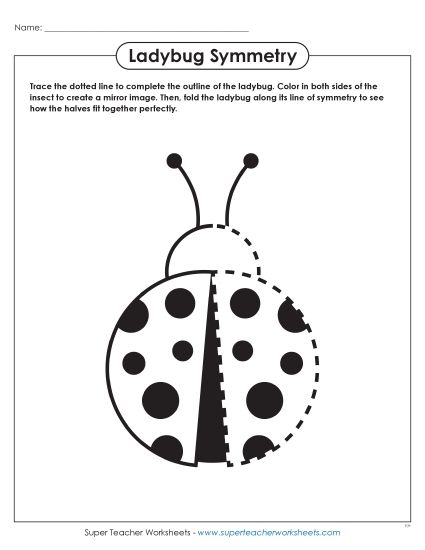 Ladybug Symmetry Printable PDF Worksheet for Kids