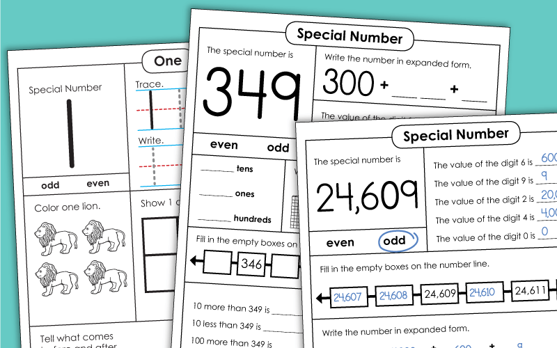 Math Special Number Worksheets